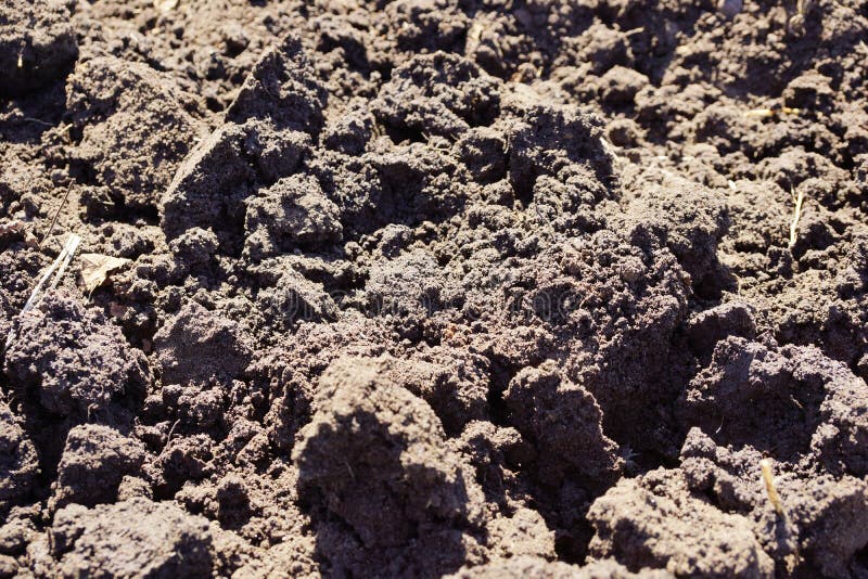 The Texture of the Soil Ground Background Stock Image - Image of fresh ...
