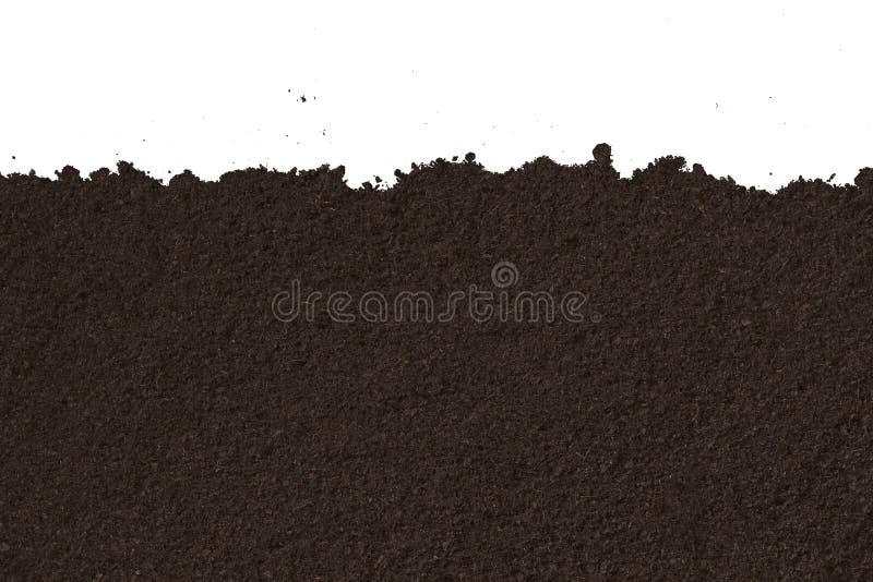 Texture of Soil Isolated on White Background Stock Photo - Image of ...
