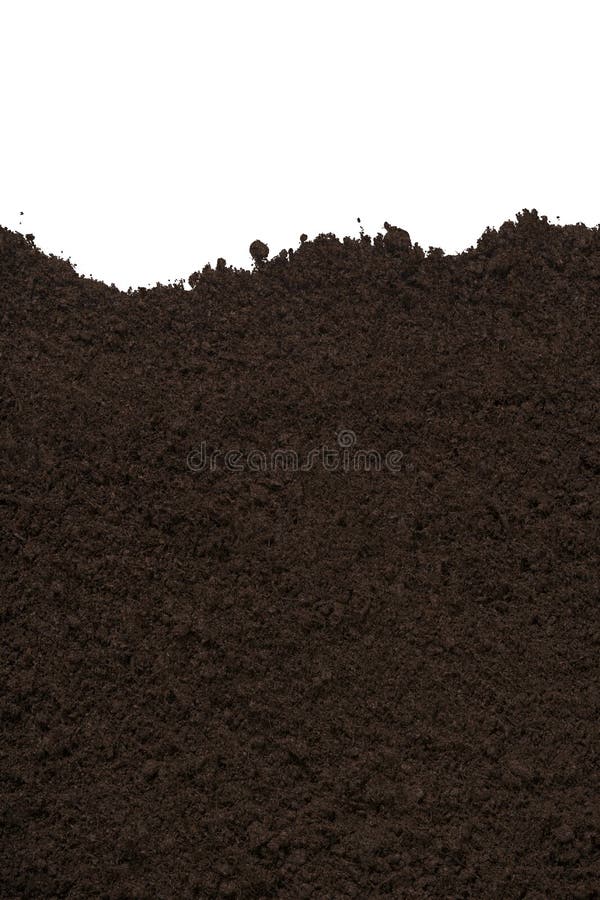 Texture of Soil Isolated on White Background Stock Image - Image of ...