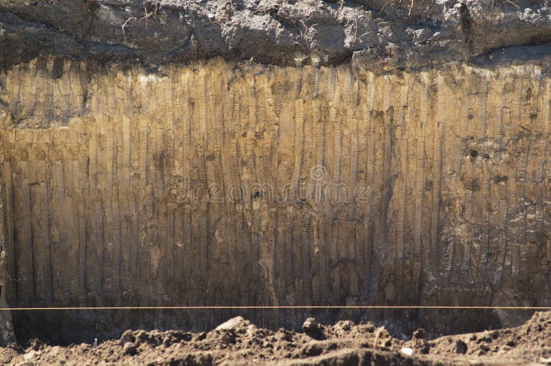 7,943 Ground Section Photos - Free & Royalty-Free Stock Photos from ...