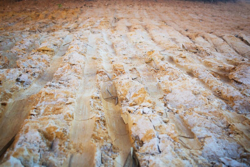 Texture of Soil Wall after Being Dig Stock Image - Image of canyon ...