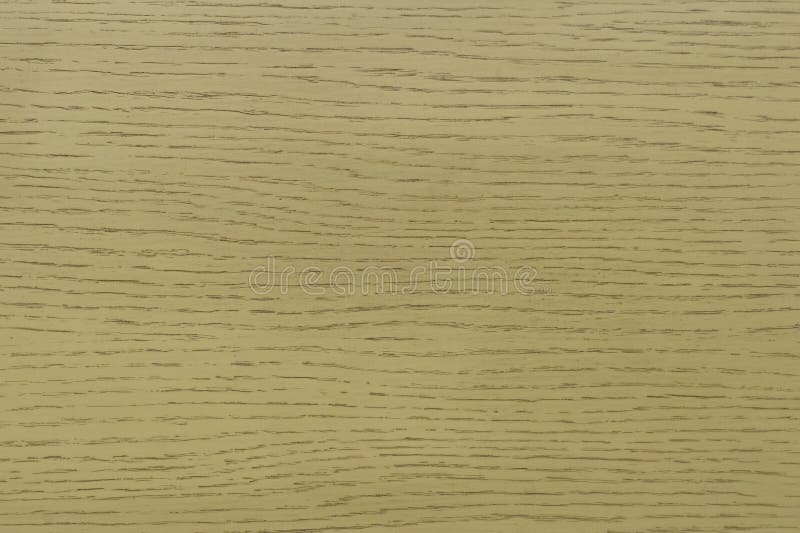 The Texture of the Solid Oak Muted Yellow. Natural Background Stock ...
