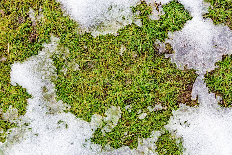 Texture in the Close-up Snow on the Grass Stock Photo - Image of ...