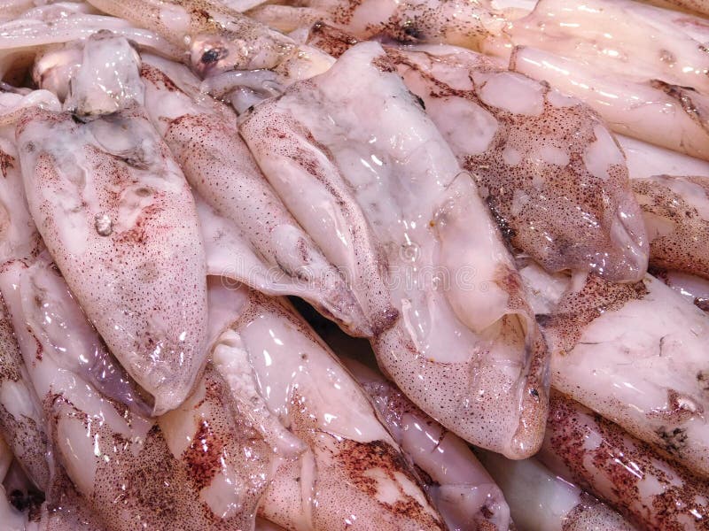 Texture of squid stock image. Image of fish, nature, squid - 78519373