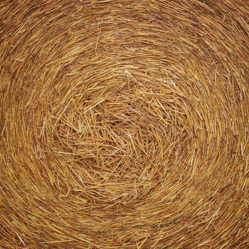 Texture of a Stack of Straw. Square Stock Image - Image of organic ...