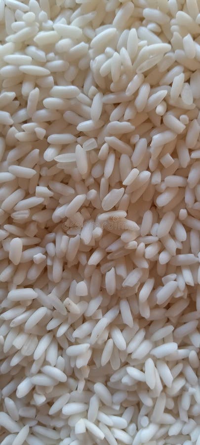 TEXTURE of STICKY RICE Best Rice from Asian Stock Photo - Image of ...