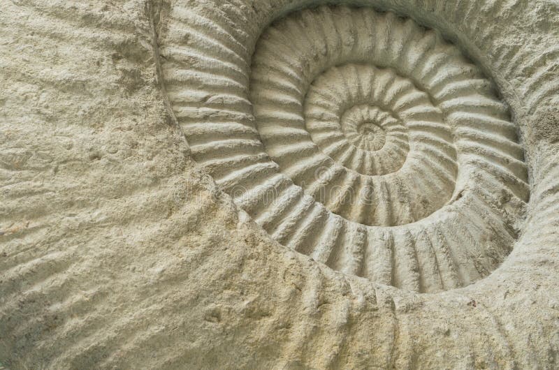 Texture of stone stock image. Image of circle, mineral - 134006647