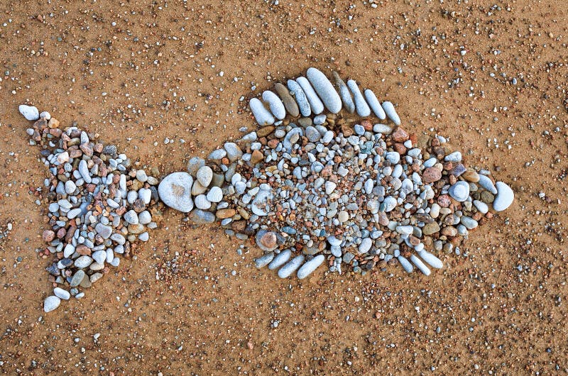 Texture stone fish stock photo. Image of meditation, shape - 47584246