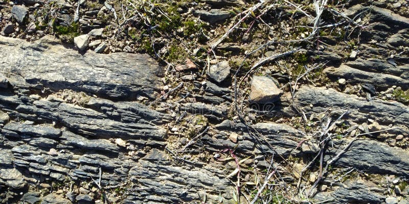 Compact Rock Texture with Grey Fungi Stock Photo - Image of grey ...