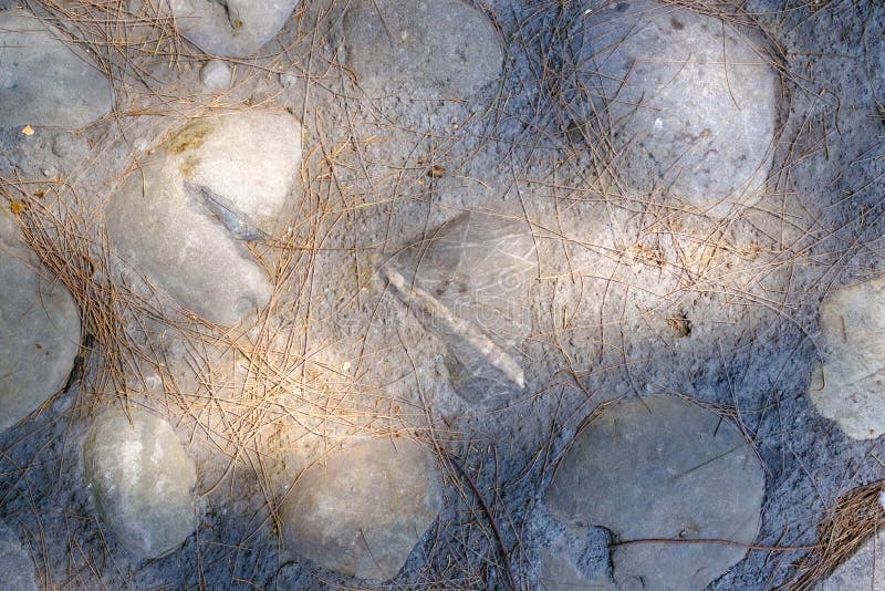 Texture of Stone Ground, Abstract Organic Pattern, Textured Rocky ...
