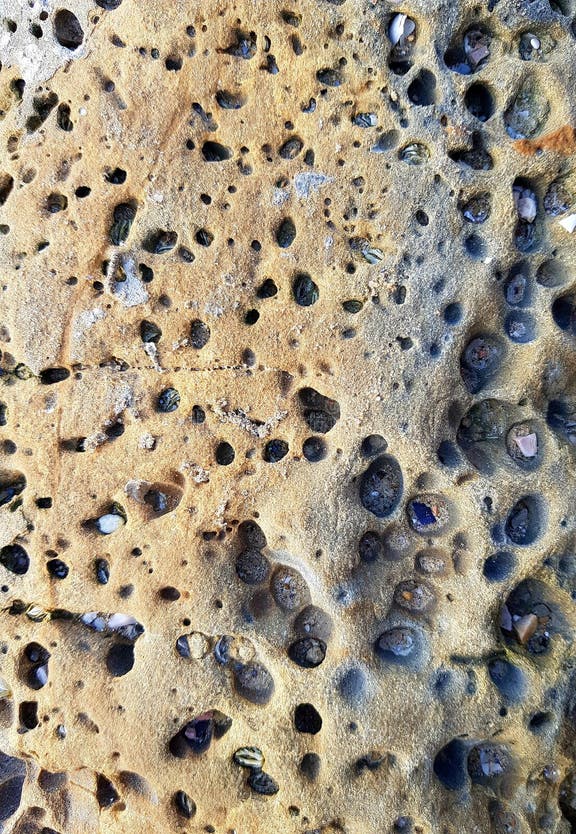 Texture of Stone with Holes. Abstract Background and Texture for Design ...