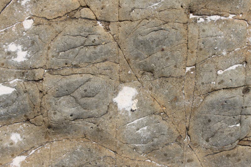 Stone Texture with Cracks and Bumps Stock Photo - Image of tree, stones ...