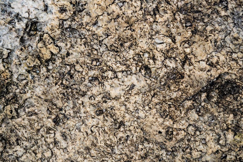 The Texture of the Stone Overgrown with Moss Stock Photo - Image of ...