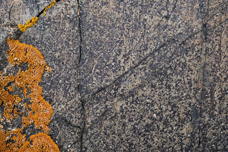 The Texture of the Stone Overgrown with Moss Stock Photo - Image of ...