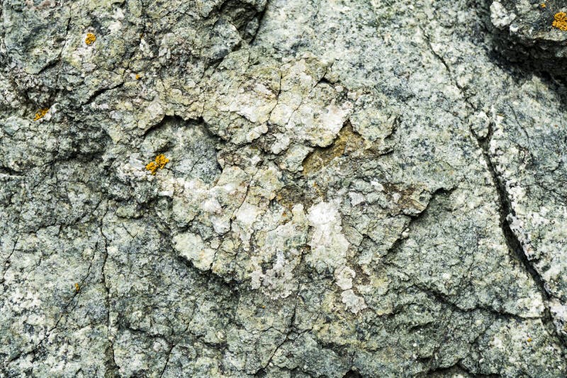 The Texture of the Stone Overgrown with Moss Stock Image - Image of ...