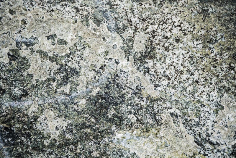 The Texture of the Stone Overgrown with Stock Photo - Image of design ...