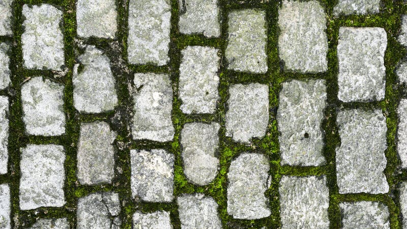 Texture of Stone Road, Bright Green Moss between Stones Stock Image ...