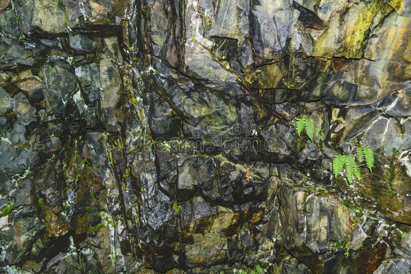 Texture Stone Rock in the Mountains Stock Image - Image of geology ...