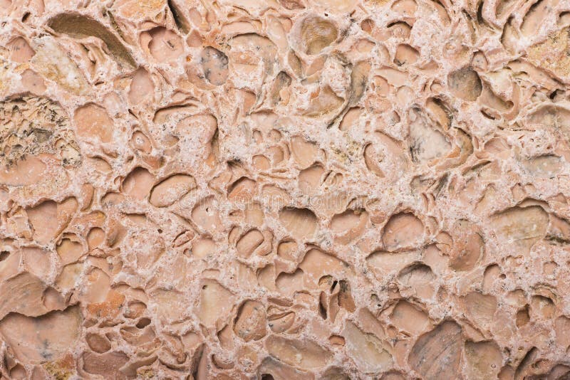 Texture of Stone from Shell Rock. Background Stock Photo - Image of ...