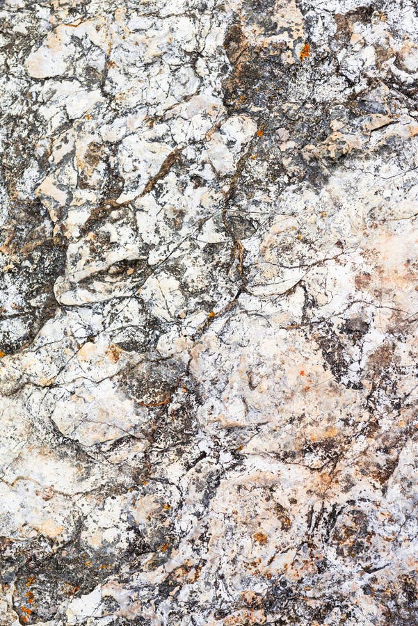 The Texture of the Stone on the Shore of the Adriatic Sea Stock Image ...