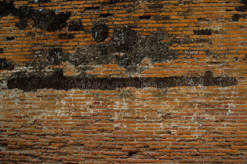 Texture of Stone Wall in the Daytime and Daylight Stock Image - Image ...