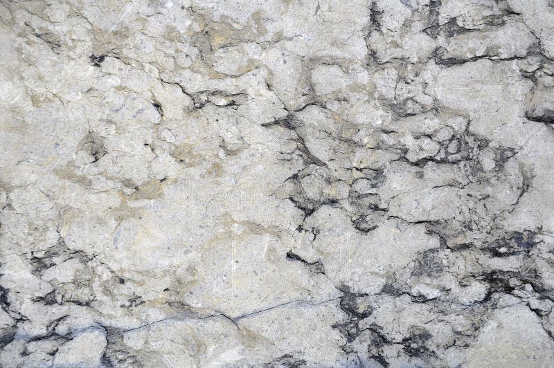 The Texture of a Stone Wall Made of Shell Rock. Wall Decoration from ...