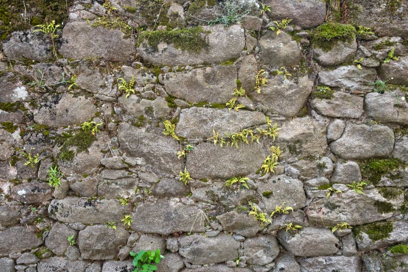 Texture of a Stone Wall. Old Castle Stone Wall Background. Wall Made of ...