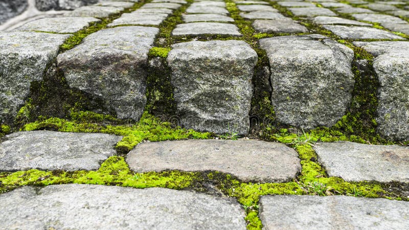Texture of Stones and Moss, Stone Steps Stock Photo - Image of material ...