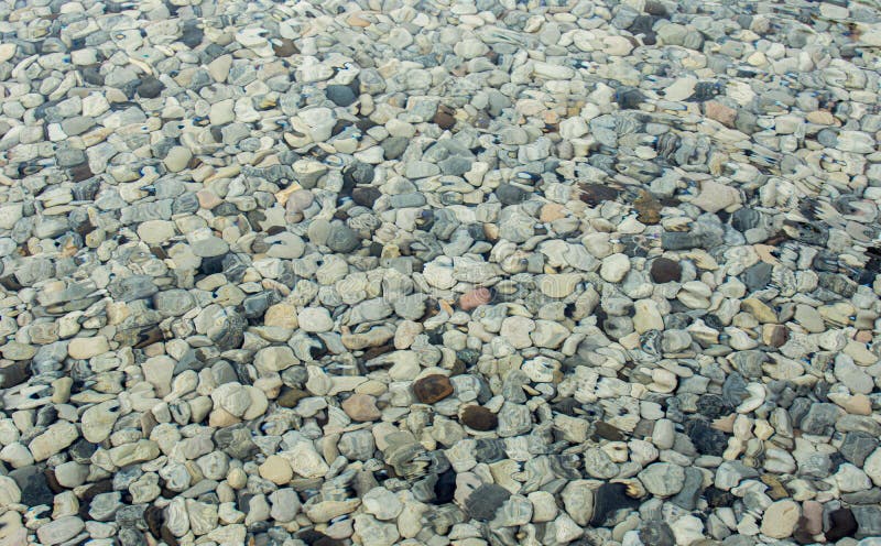 Texture of Stones Under Water Stock Photo - Image of closeup, solid ...