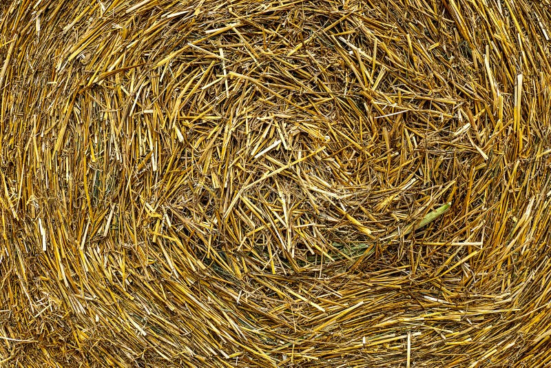 Texture of a Straw Bale, Yellow and Prickly Stock Image - Image of ...