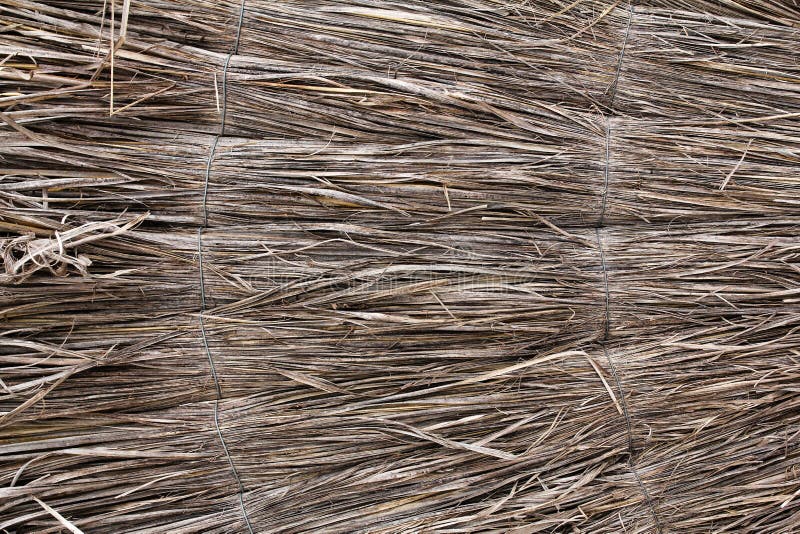 Straw beach umbrella stock photo. Image of vacation - 215519944