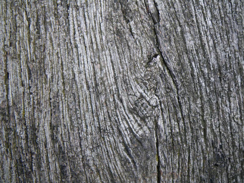 Texture / Structure: Weathered Wood Stock Photo - Image of structure ...