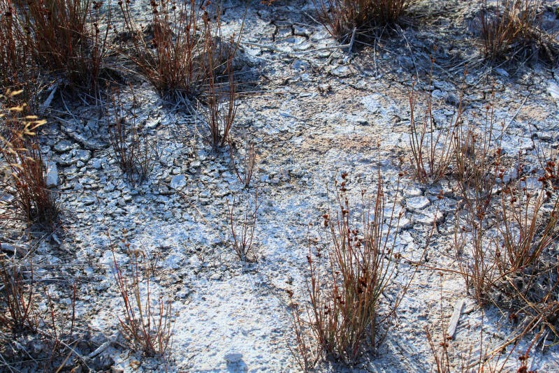 Beautiful Texture or Background Image Stock Image - Image of stunning ...