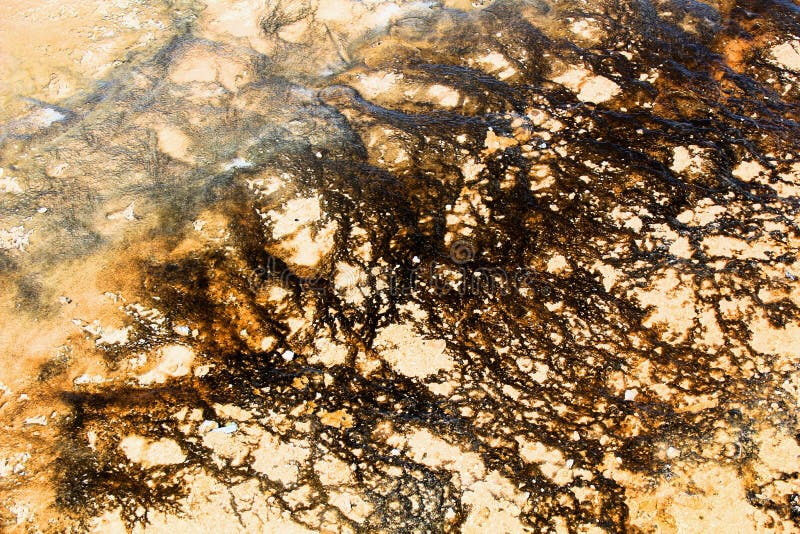 Beautiful Texture or Background Image Stock Photo - Image of detail ...