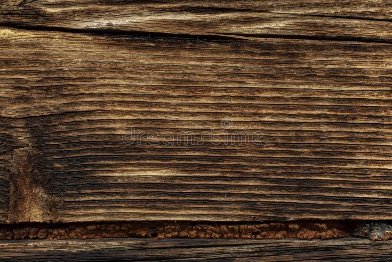 Texture of Sun-bleached Wood, Rustic Background, Copy Space Stock Image ...
