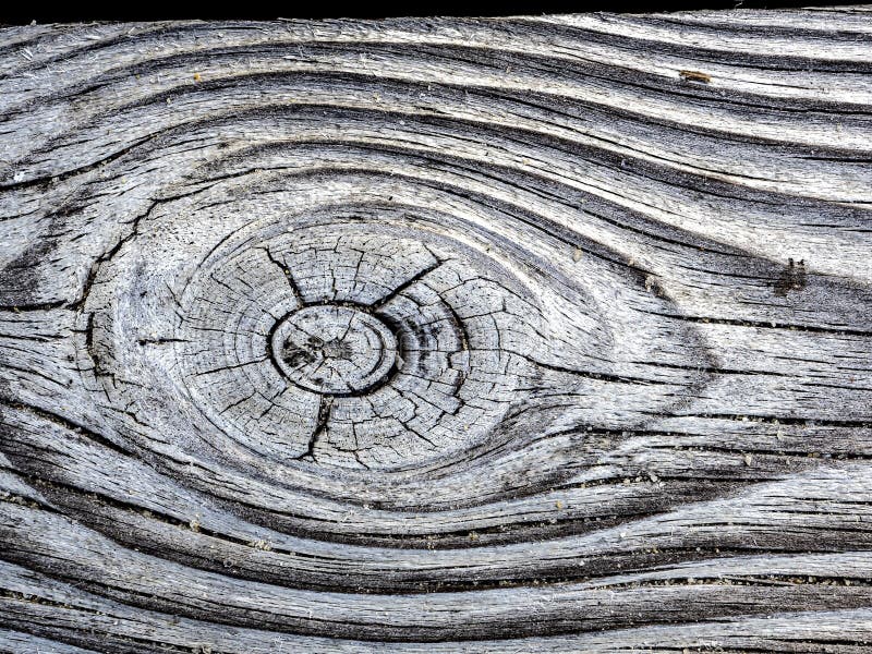 Texture of Boards on the Lake Shore Stock Photo - Image of textured ...