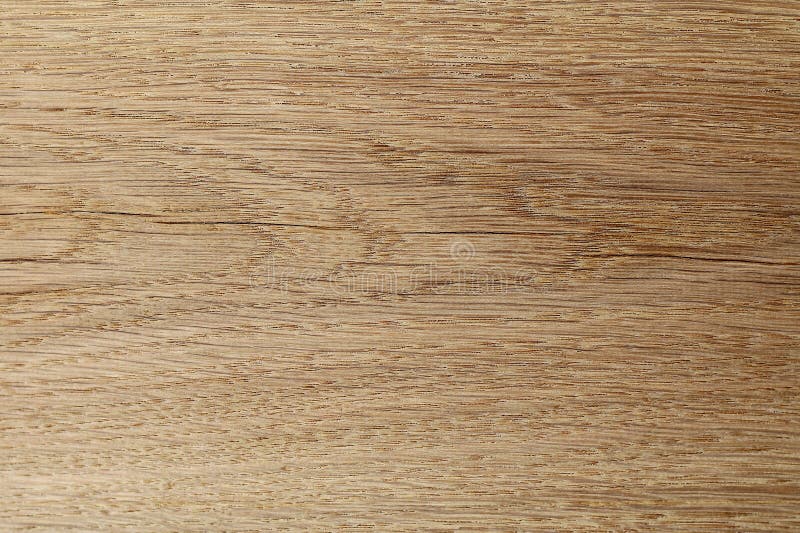 597 Cut Pinewood Stock Photos - Free & Royalty-Free Stock Photos from ...