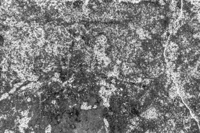 517 Bnw Texture Stock Photos - Free & Royalty-Free Stock Photos from ...