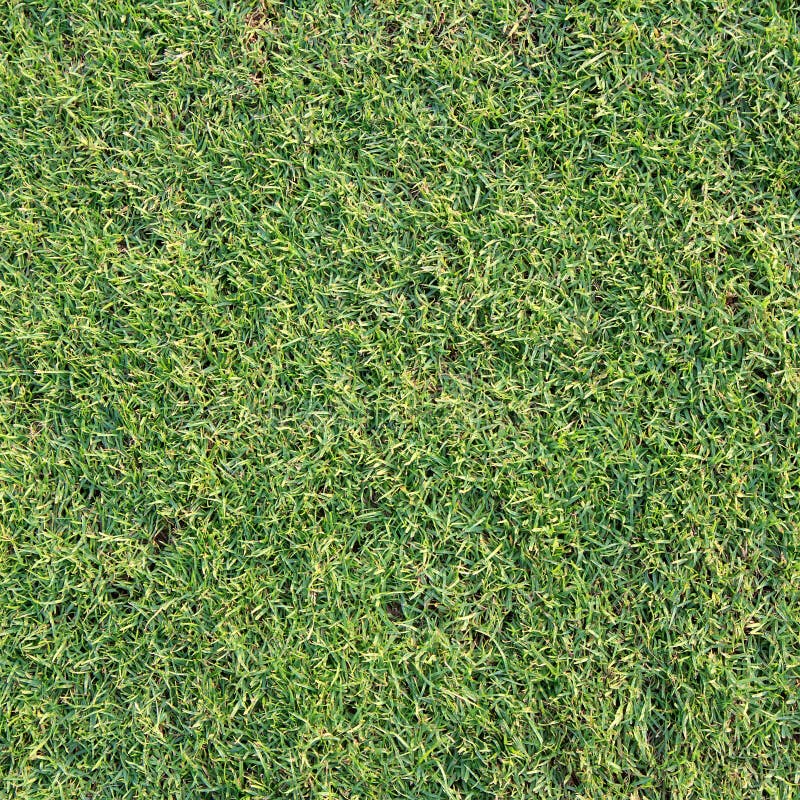 Texture and Surface of Green Turf Stock Image - Image of court ...