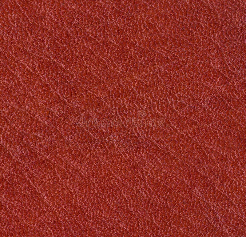 Texture of Surface of the Natural Painted Orange Leather. Abstract ...