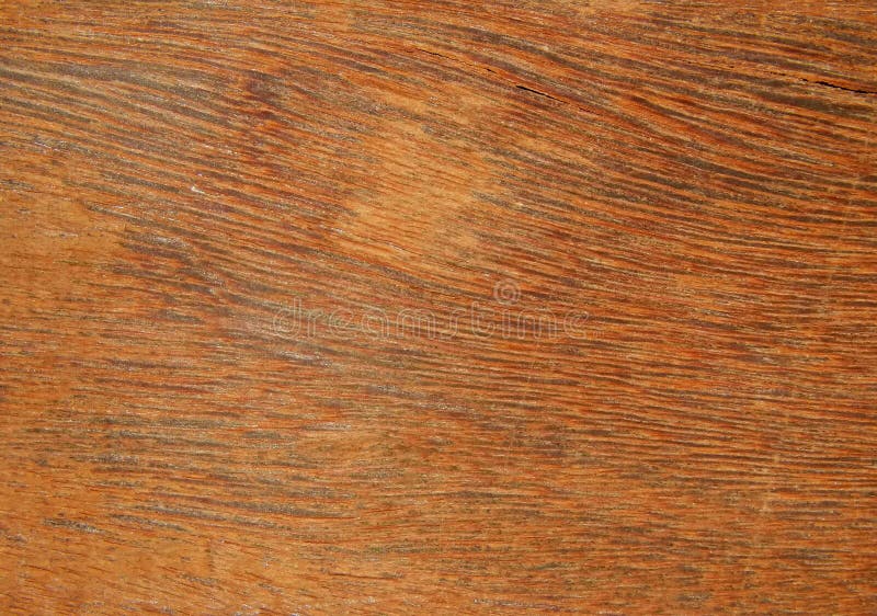 Texture of a Surface of a Natural Tree Sapele. Decorative Wood Veneer ...