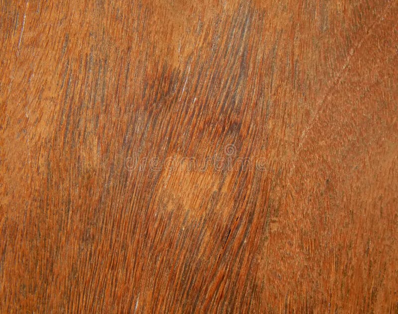 Texture of a Surface of a Natural Tree Sapele. Decorative Wood Veneer ...