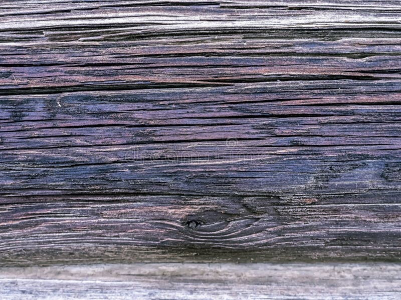 Texture of the Surface of an Old Cracked Log Stock Photo - Image of ...