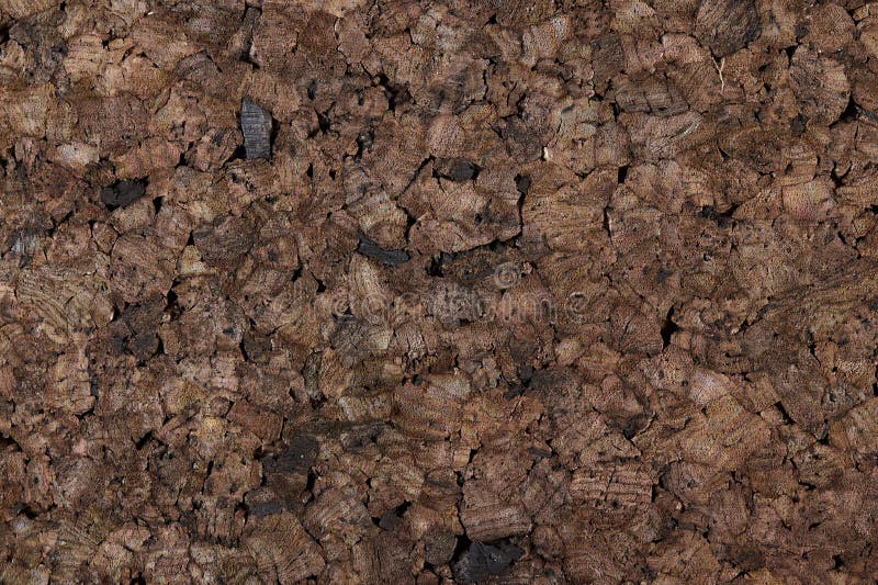 Texture of Surface Rough Cork Board Wood Background Stock Photo - Image ...