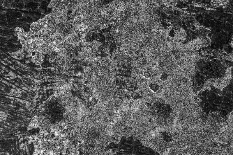 480 Bnw Texture Stock Photos - Free & Royalty-Free Stock Photos from ...