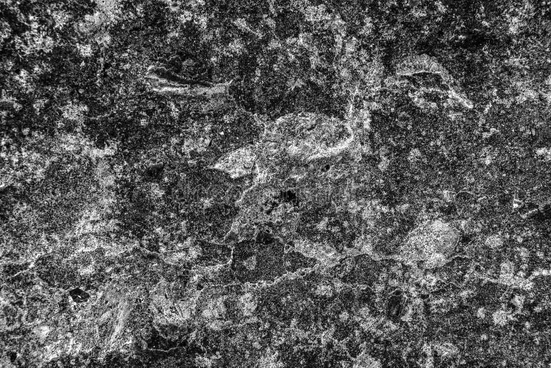 520 Bnw Texture Stock Photos - Free & Royalty-Free Stock Photos from ...