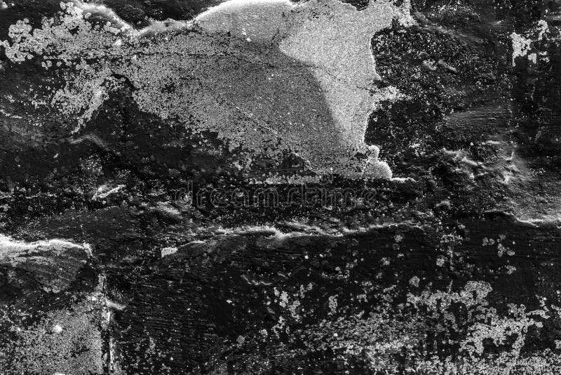 480 Bnw Texture Stock Photos - Free & Royalty-Free Stock Photos from ...