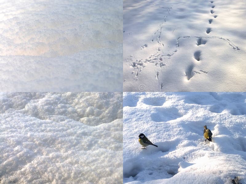 Snow Surface on a Sunny Day Stock Image - Image of winter, open: 138636221