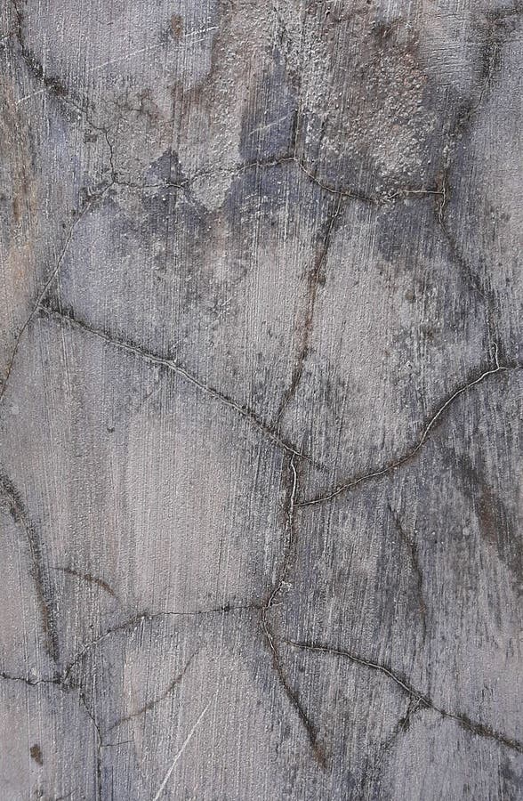 107 Bone Walls Stock Photos - Free & Royalty-Free Stock Photos from ...