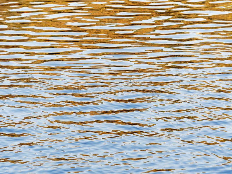 Texture of Surface of Water with Golden Reflection of Sunny Autumn ...